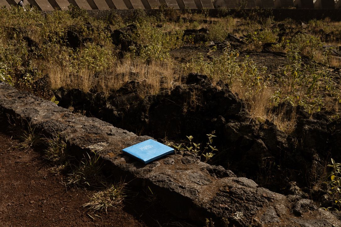 Conoce a Ix Cacao: La Diosa Maya del Cacao